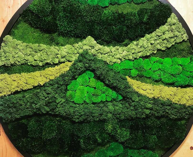 Moss Design – Orange County Plant Service | Forever Green in San Clemente